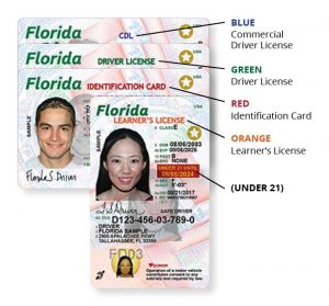 State of Florida's NEW Driver License and ID Card