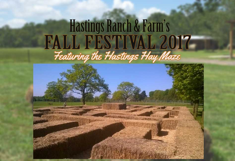 Hastings Ranch & Farm Fall Festival Announces Its Amazing Hay Maze