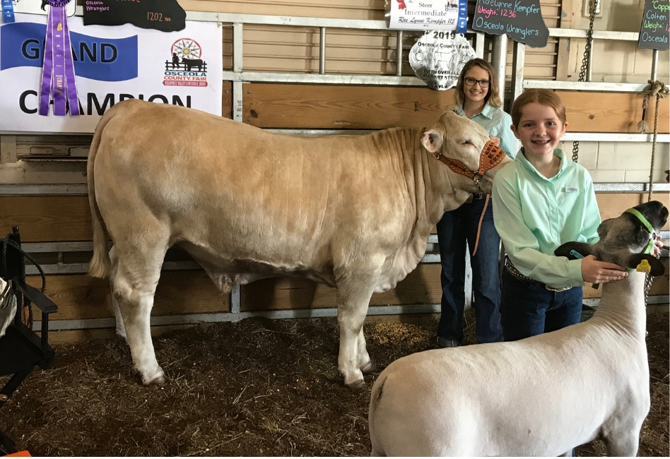 2019 Grand Champion Market Steer and Lamb Winners at KVLS