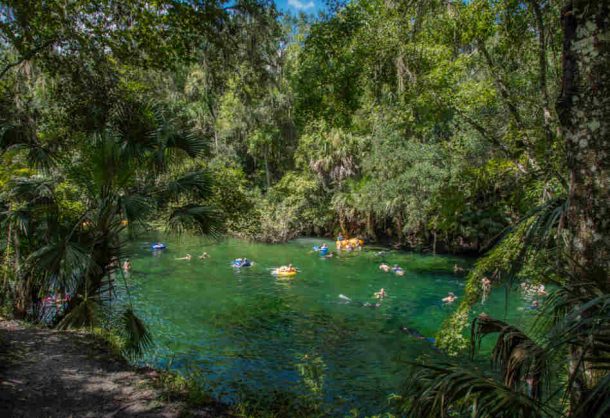 Three Central Florida Natural Springs You'll Want to Take a Dip in This ...