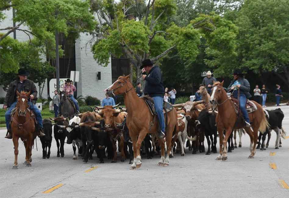 RAM Rodeo cattle drive returns to downtown Kissimmee's Broadway March 30