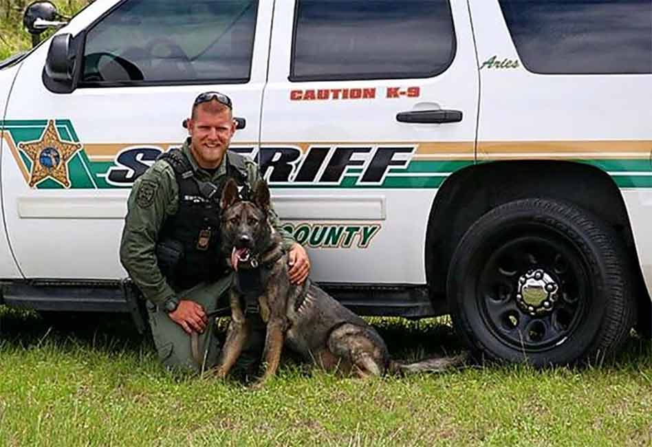 Vested Interest in K9s provides 4 Osceola Sheriff's dogs new protective ...