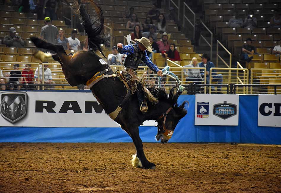 Experience the best of the best in professional rodeo action this ...