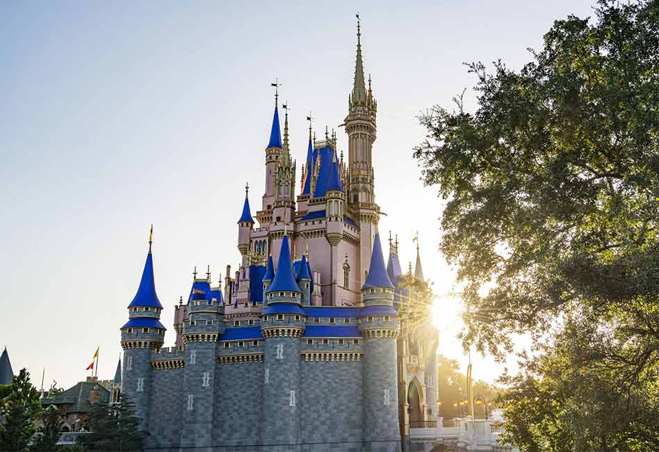 Florida Residents Can Begin 2021 with Special Offer at Walt Disney ...