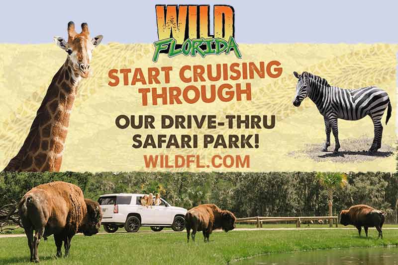 Come see Wild Florida's Drive-Thru Safari Park for a reduced price!