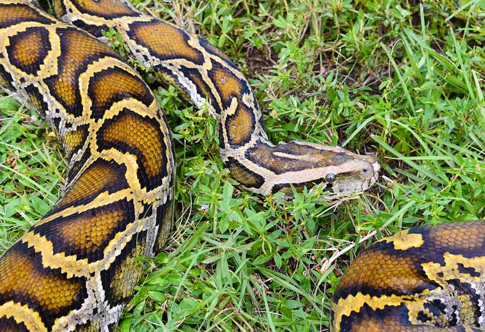 thon Challenge kicks of today; with new $10,000 award