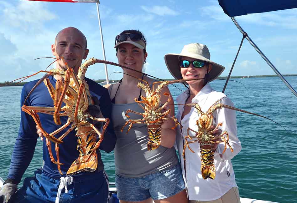 Spiny lobster seasons begins soon, two-day recreational mini-season ...