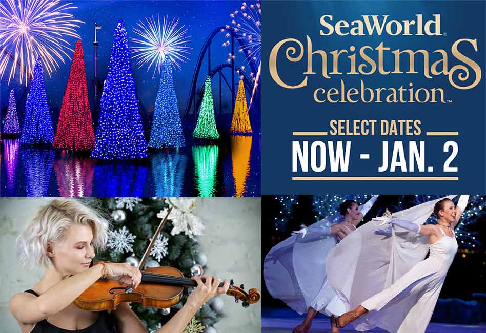 Experience SeaWorld's Sparkling Christmas Celebration Through January 2