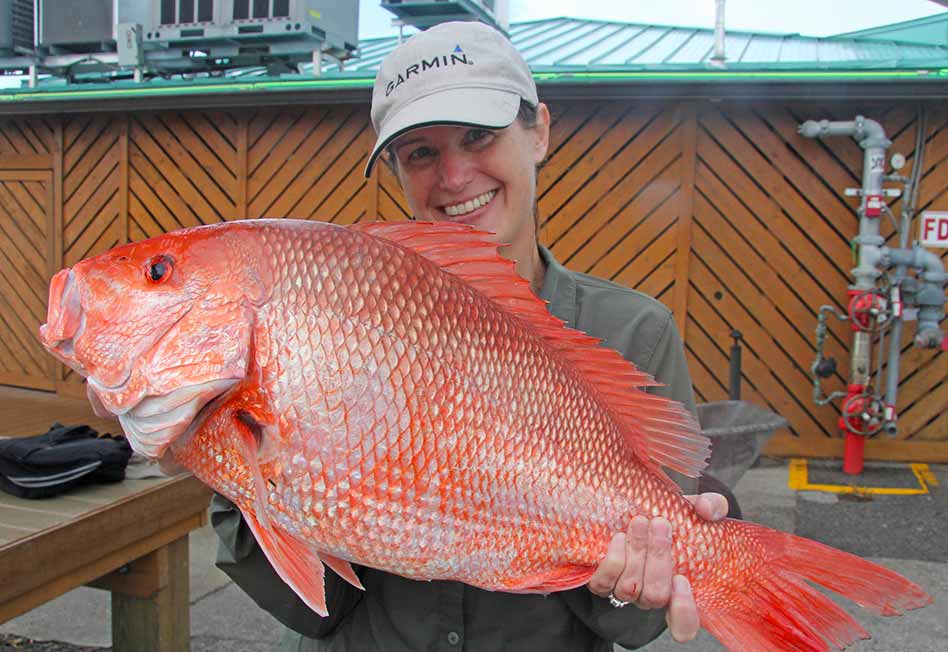 Recreational red snapper summer season closes Aug. 1 in Gulf state and ...