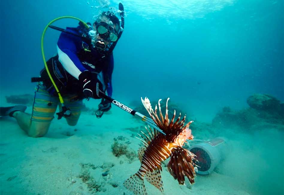 FWC Announces 2023 Lionfish Challenge to Tackle Invasive Species