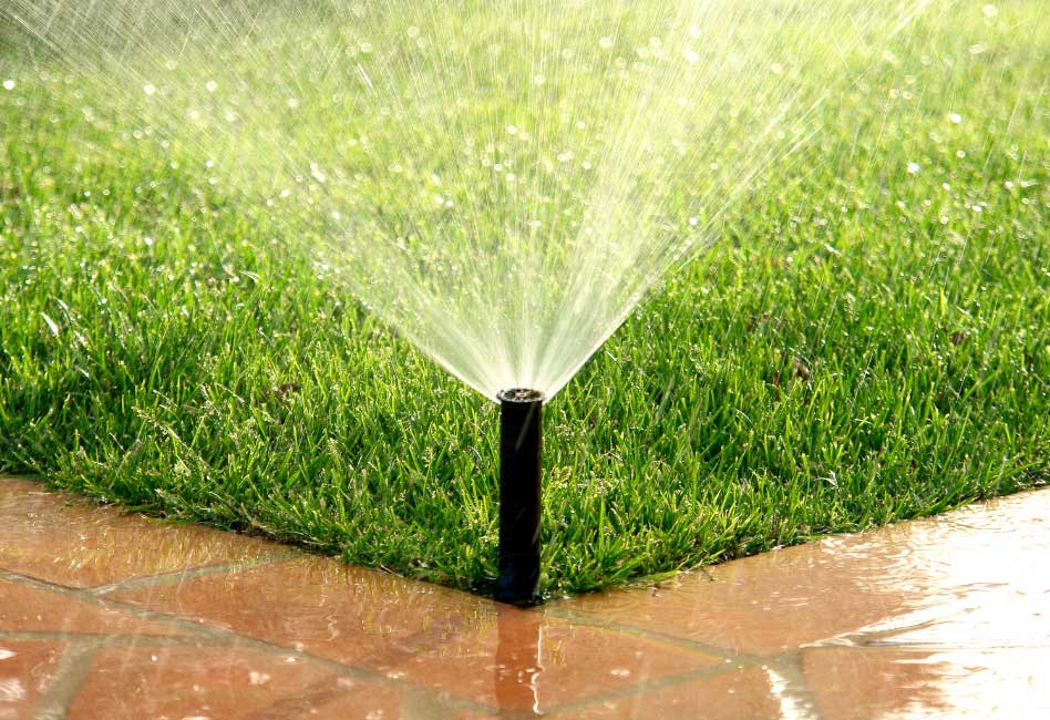 Watch the Weather, Wait to Water