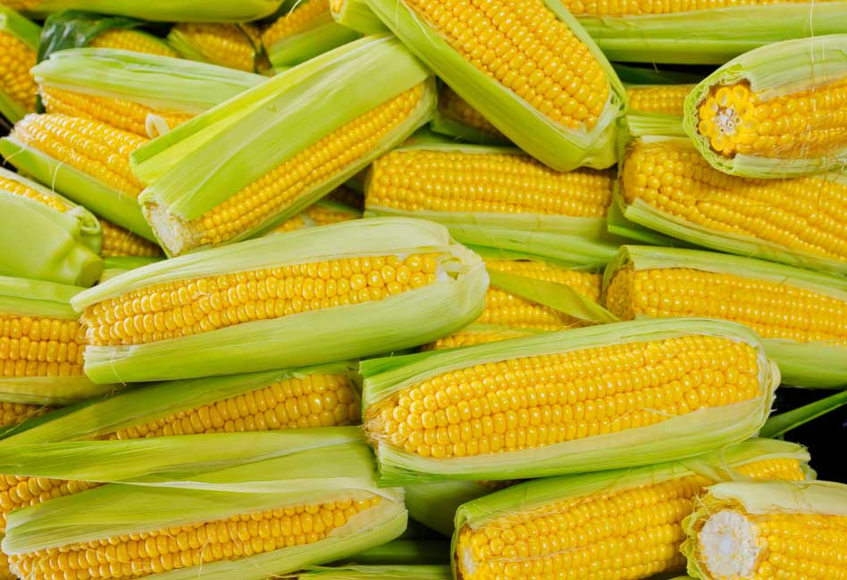 Corn Takes the Crown: Green Giant Survey Reveals America's Favorite ...