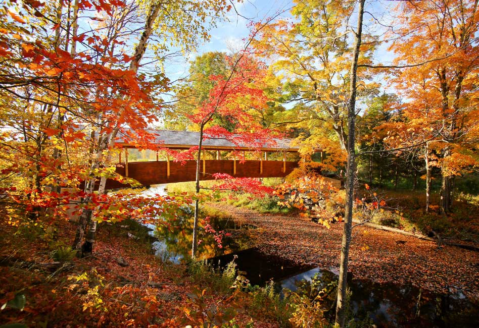 Leaves and Luggage: A Peek into the Upward Trend in Fall Travel Searches