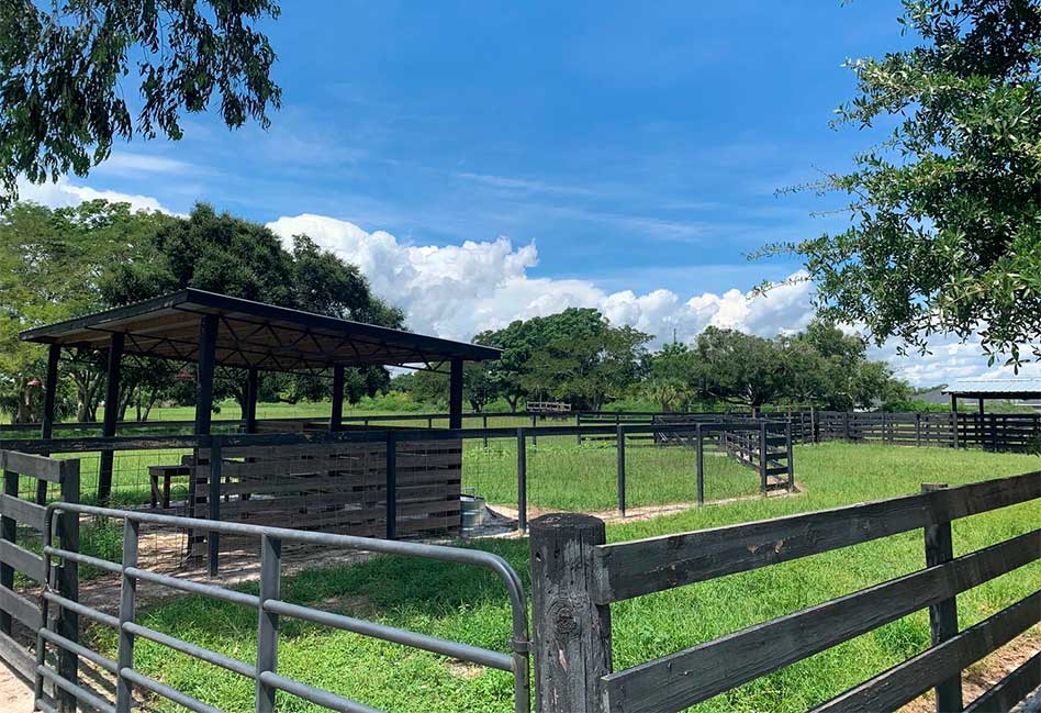 City of St. Cloud asking residents to help 'Plan the Ranch at St. Cloud'