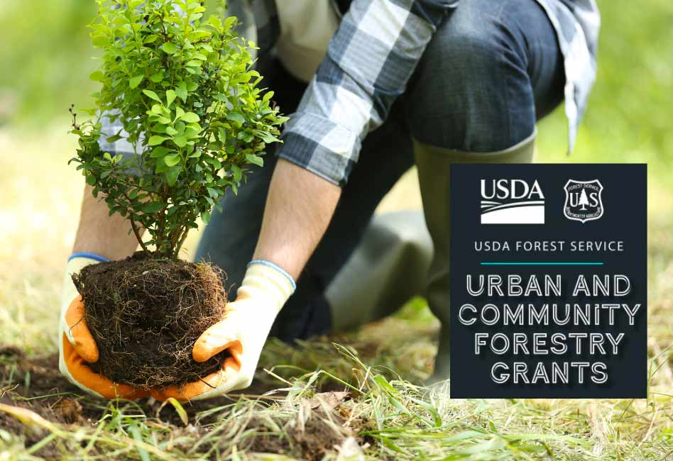 Shaping a Greener Tomorrow: Osceola County Receives $2.25 Million Urban ...