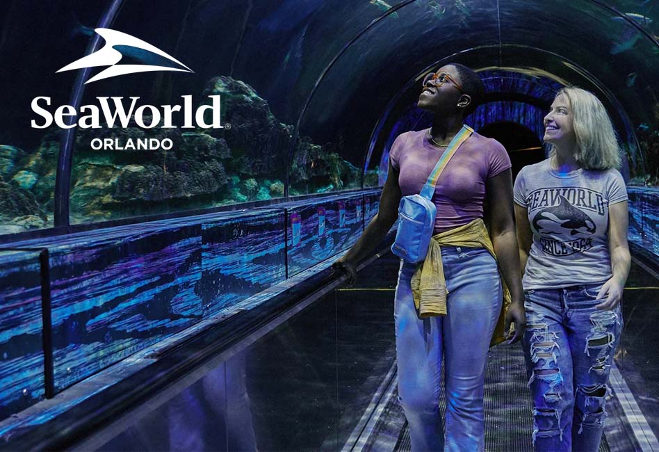 Behind the Scenes at SeaWorld: Inspiring Stories of Animal Care and Rescue