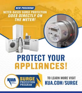 Valencia College announces new mascot, and it's a "cool cat" - the Puma!