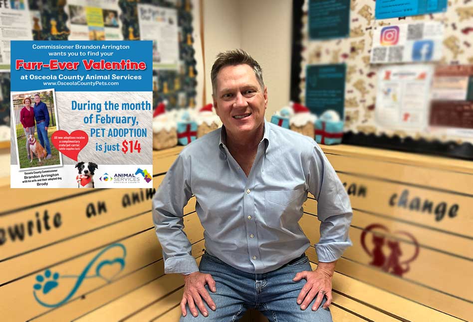 Find Your Furr-Ever Valentine at Osceola County Animal Services, During ...