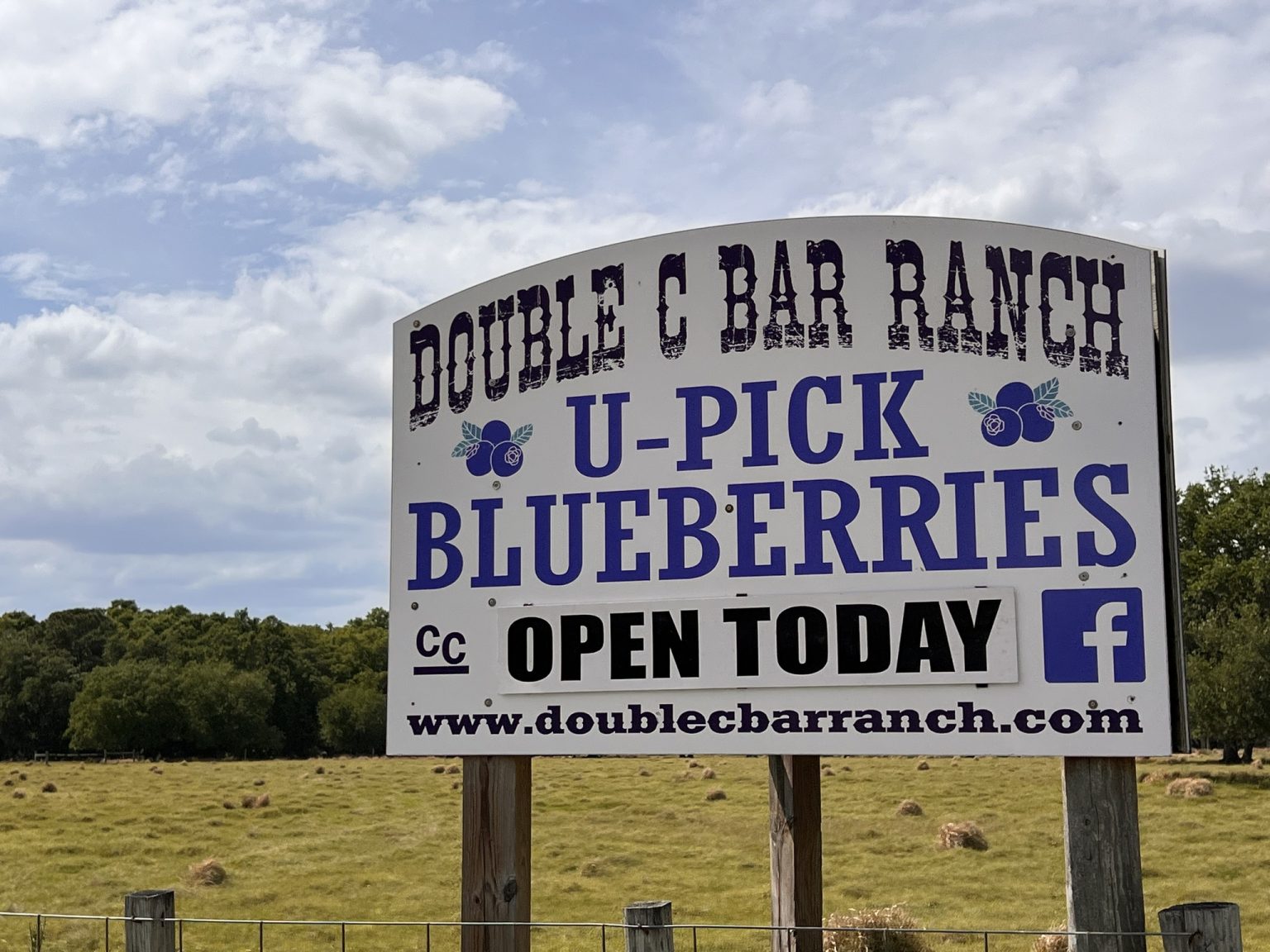 Chapman's Double C Bar Ranch Blueberry Picking Season Launches This ...