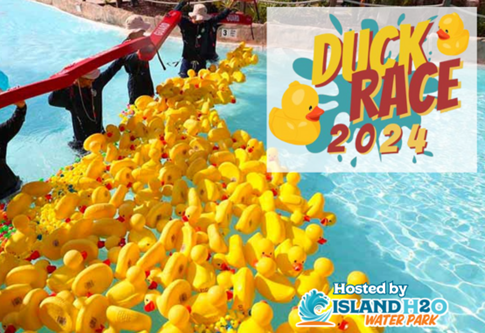Ducks Ahoy! Join the Duck-tastic Race at Island H2O on June 1st