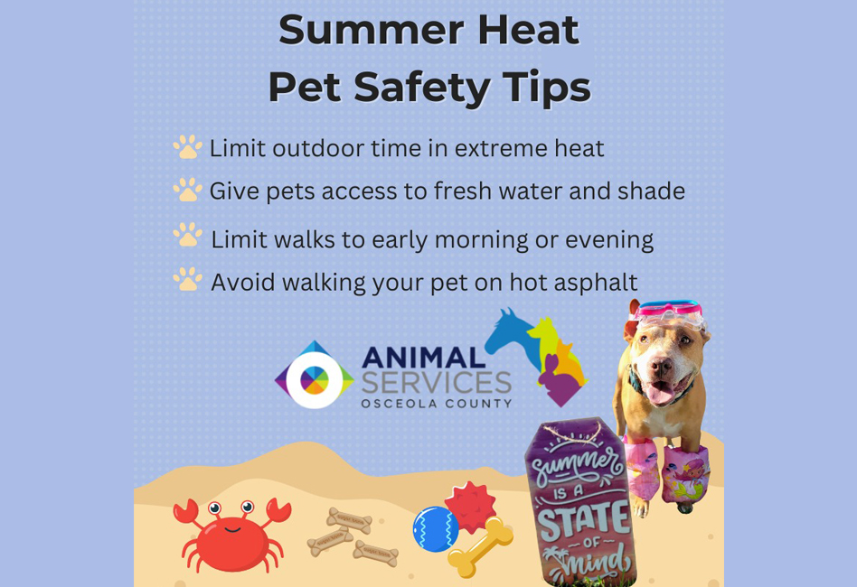 Hot Weather Tips for Pets from Osceola County Animal Services