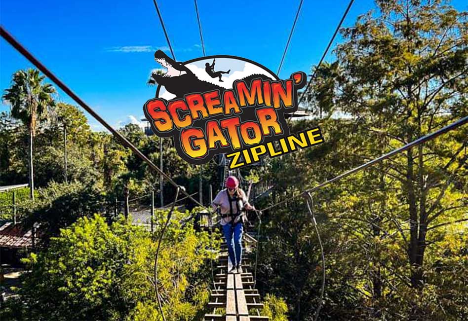 Soar Above Gators: Screamin' Gator Zipline at Gatorland Offers $20 ...