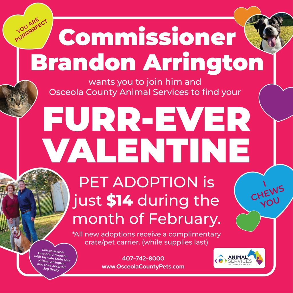 Osceola County Animal Services Furr-Ever Valentine with Commissioner ...
