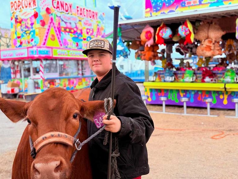 Osceola County Fair Wraps Up Another Spectacular Year, Showcasing ...