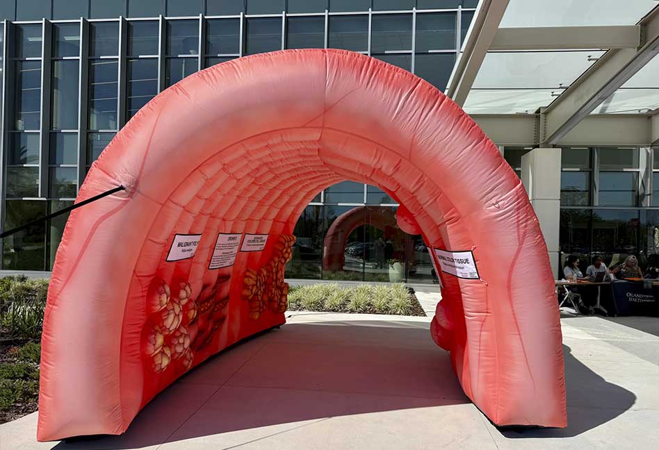 Orlando Health Raises Awareness for Cancer Screenings with Life-Sized ...