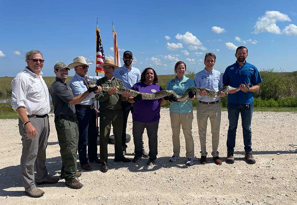 2025 Florida Python Challenge Kicks Off with New Everglades National ...