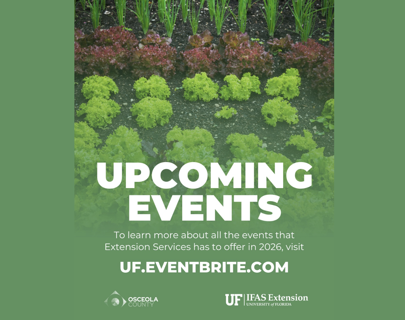 UF IFAS Extension Event - Baking Up Something Sweet - Honey Edition ...