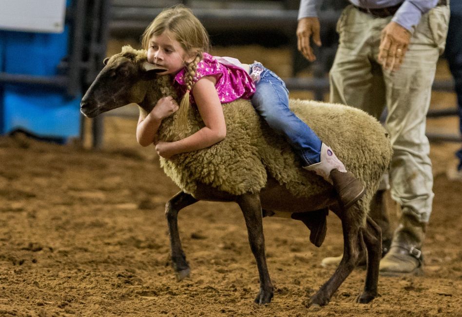 Tiny Cowboys and Cowgirls, Big Cheers: Mutton Bustin’ Returns to the ...